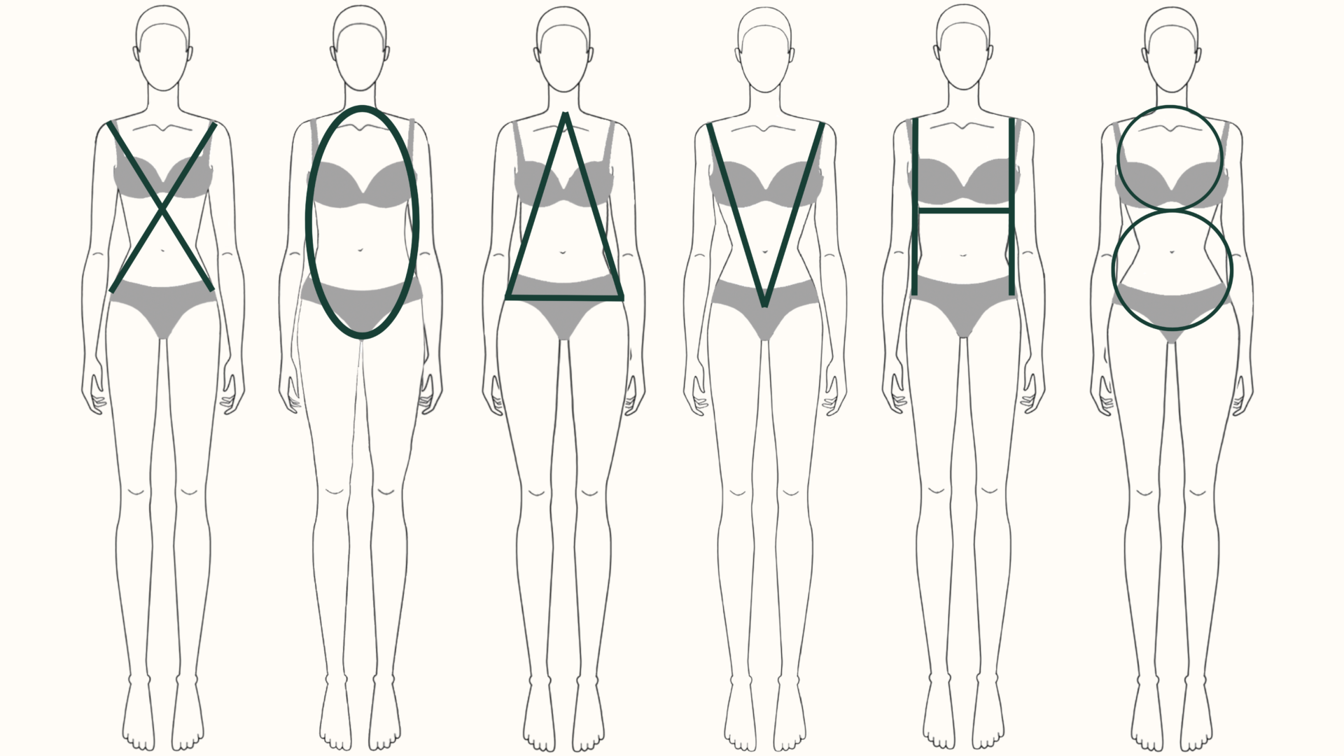 Types de morphologie femme - That Original